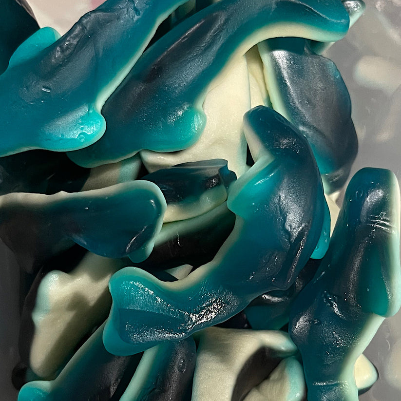 Giant Gummi Dolphins – Eat Sweet Lollies