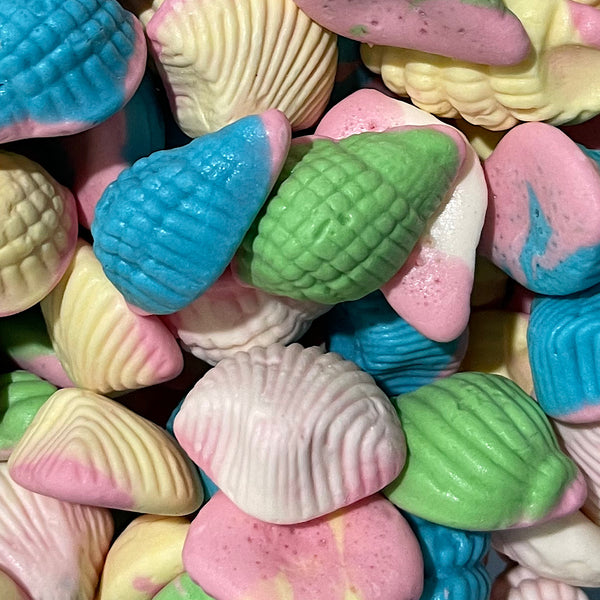 Sea Shells – Eat Sweet Lollies
